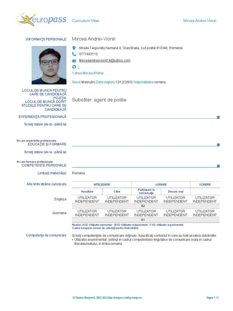 Model CV Europass | PDF