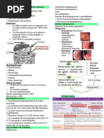 Adsef Pan 164 | PDF | Medicina CLINICA | Enfermedades y trastornos