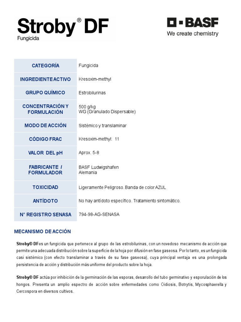PE - Ficha Técnica - Stroby® DF | PDF
