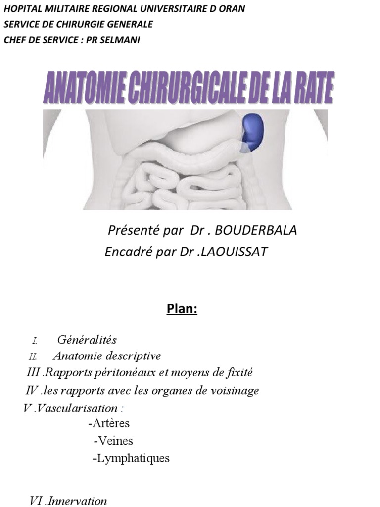 Anatomie et Chirurgie de la Rate | PDF | Rate | Pancréas