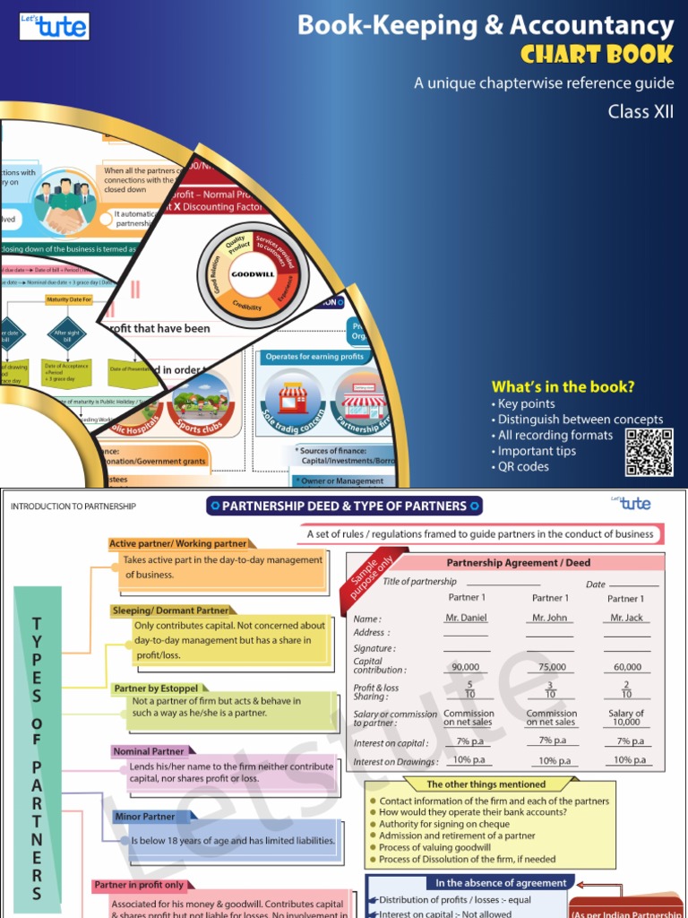 Book Keeping Accountancy Class 11 12 Pen Drive | PDF