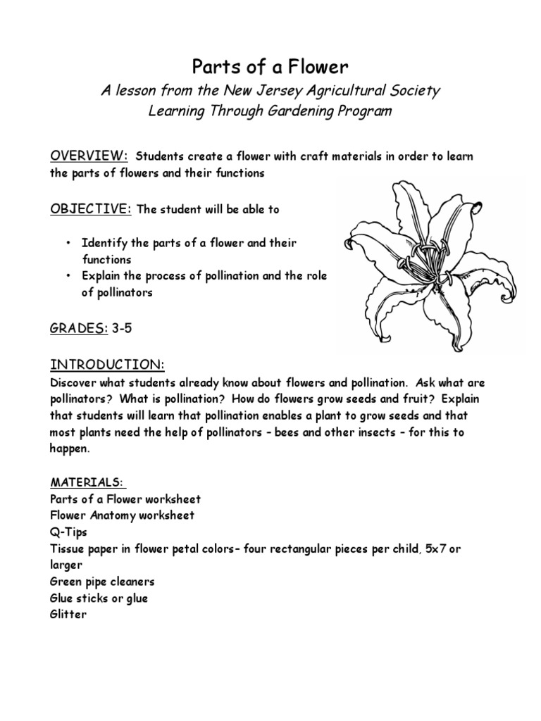 Parts of A Flower Lesson Plan Wbs | PDF | Flowers | Pollinators