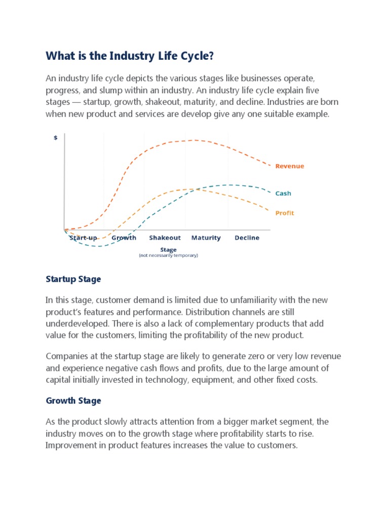 What Is The Industry Life Cycle | PDF | Profit (Economics) | Economies