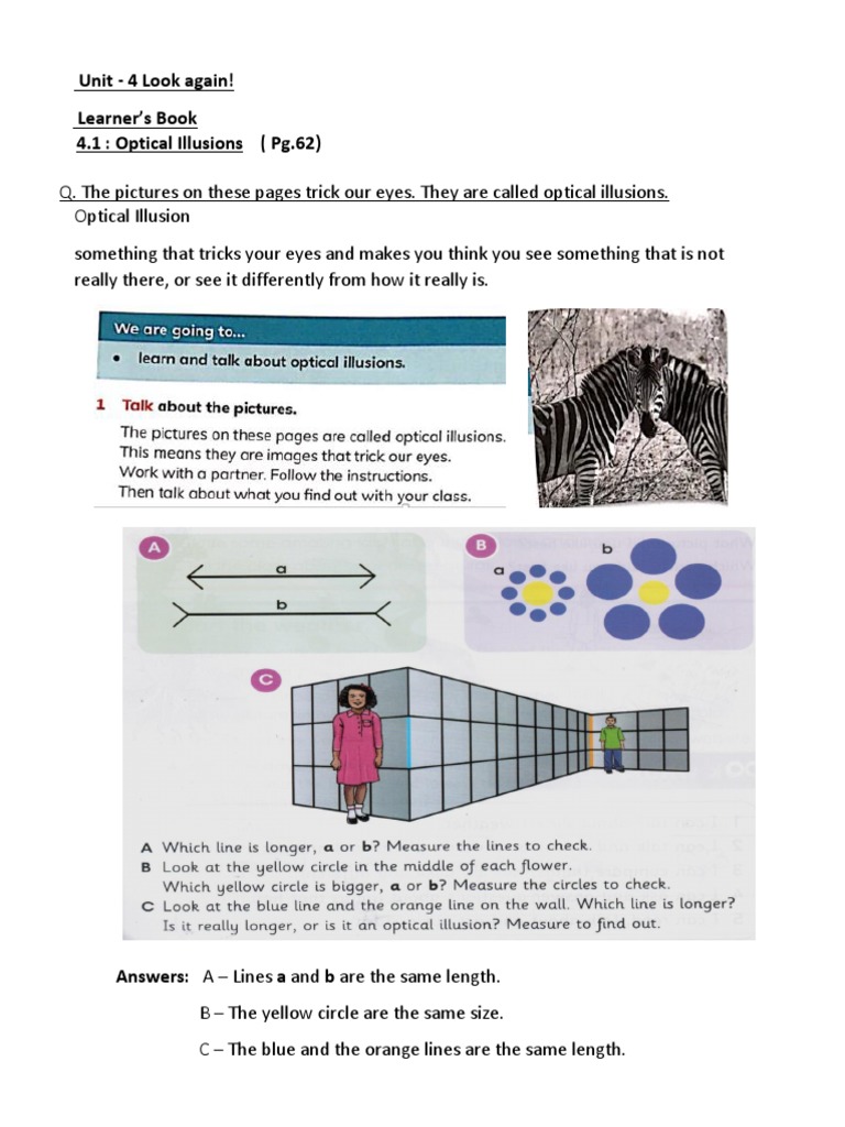 Unit - 4 - Look Again | PDF | Camouflage | Pronoun