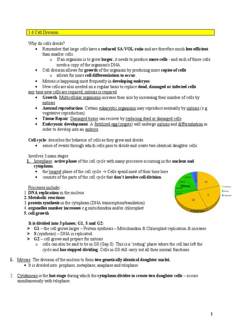 1.6 Cell Division | PDF | Mitosis | Cell Cycle