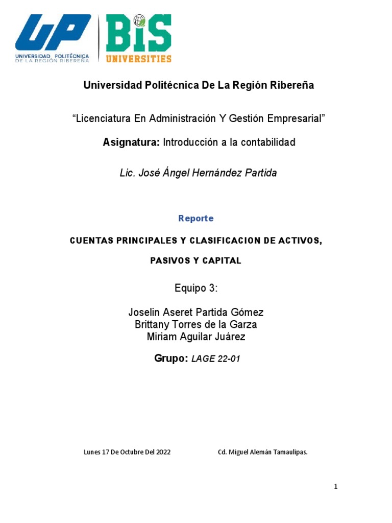 Reporte Contabilidad | PDF | Business | Contabilidad