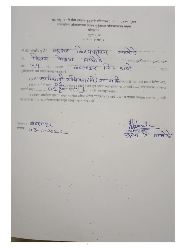 Declaration of Small Family | PDF