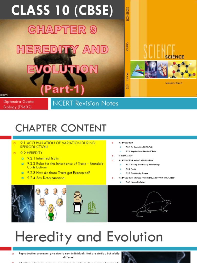 Heredity and Evolution in Class 10 Biology | PDF | Heredity | Gene