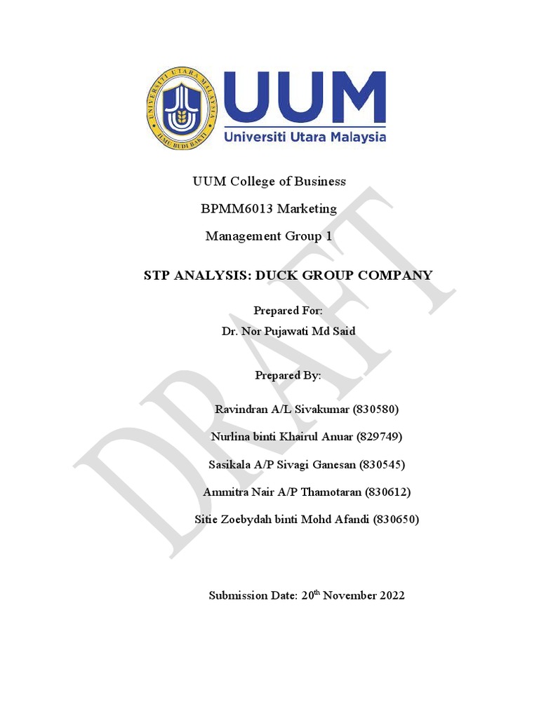 STP Analysis of dUCK Group Company | PDF | Brand | Marketing