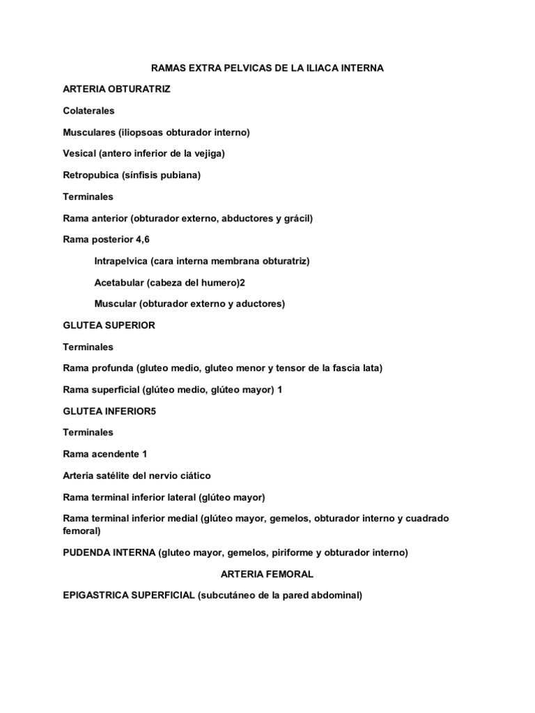Ramas Extra Pelvicas de La Iliaca Interna | PDF