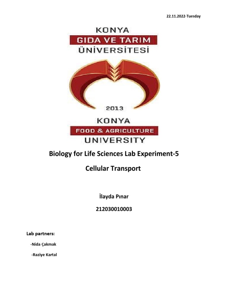 Lab Report Cellular Transport | PDF | Cell Membrane | Osmosis