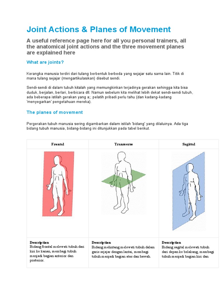 Arah Gerak Sendi | PDF