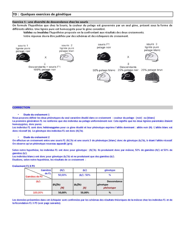 Exercices corrigés de génétique | PDF | Génotype | Allèle