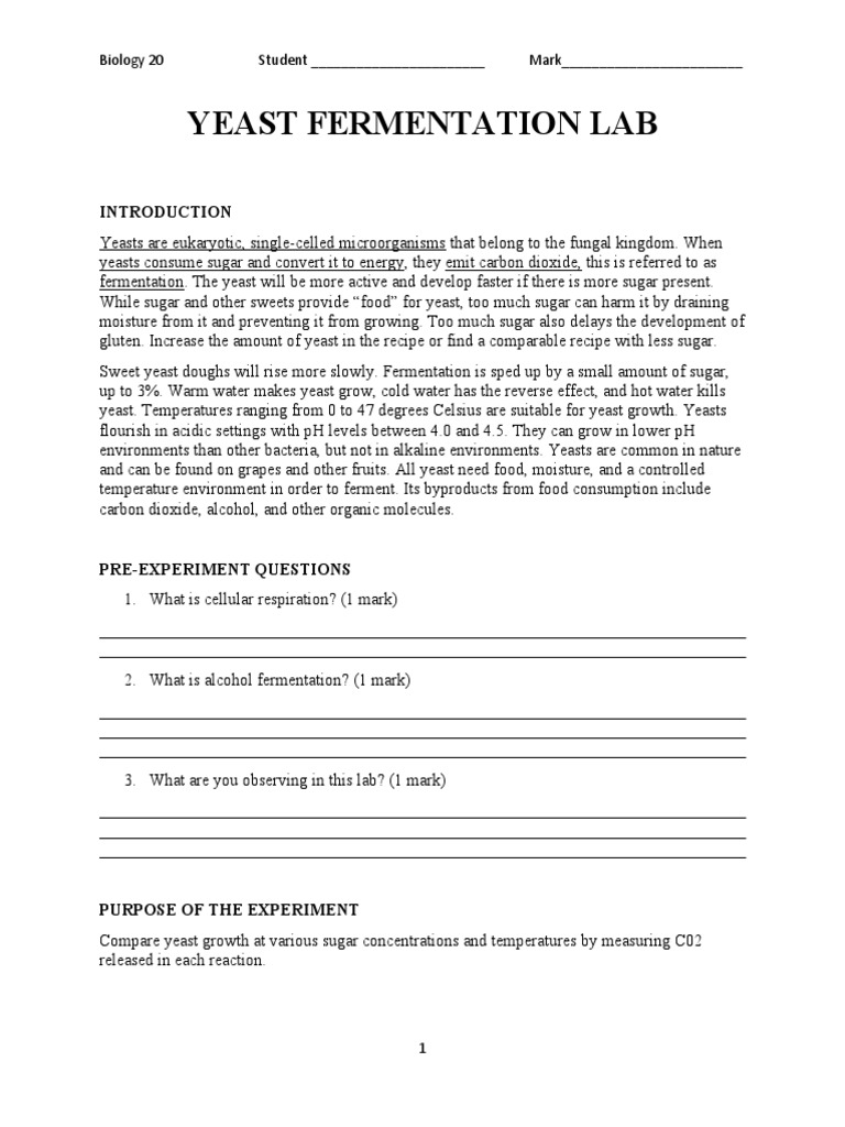 Tqs 2 Yeast Fermentation Lab | PDF | Fermentation | Yeast