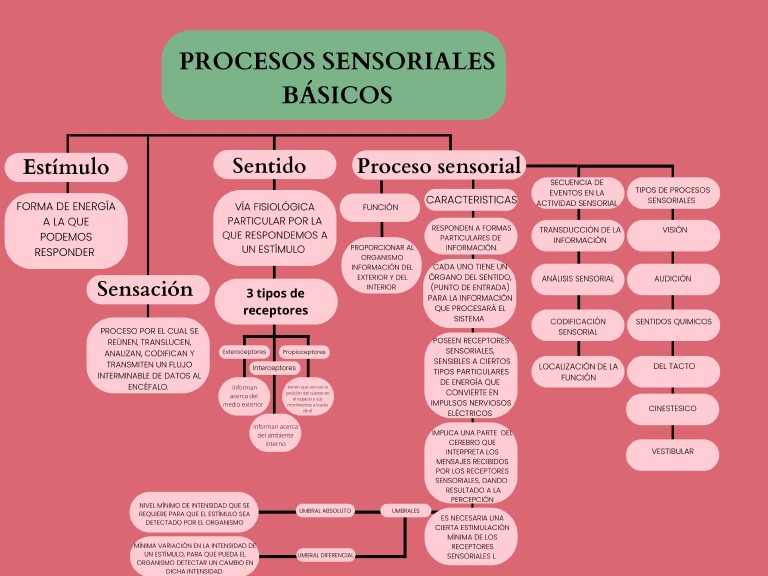 PROCESOS SENSORIALES BASICOS | PDF