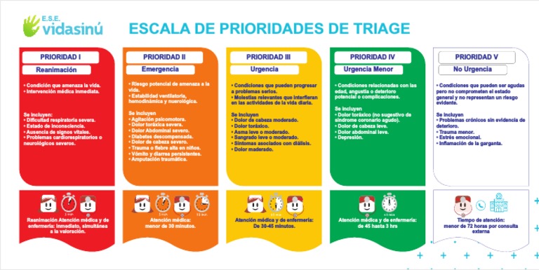 Escala de Prioridades | PDF | Dolor | Lesión