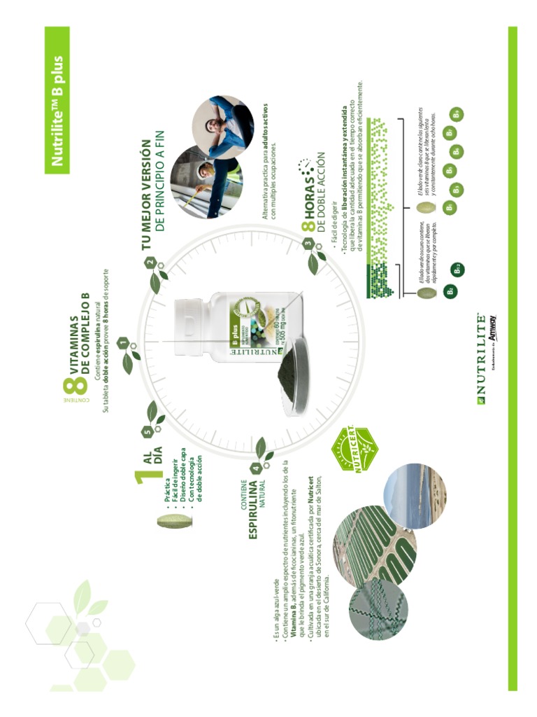 Hoja de Producto BPlus Nutrilite | PDF | Vitamina | Alimentos