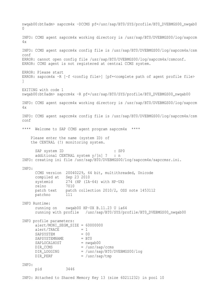 Configuring And Starting A Ccms Agent On An Sap System Pdf Load