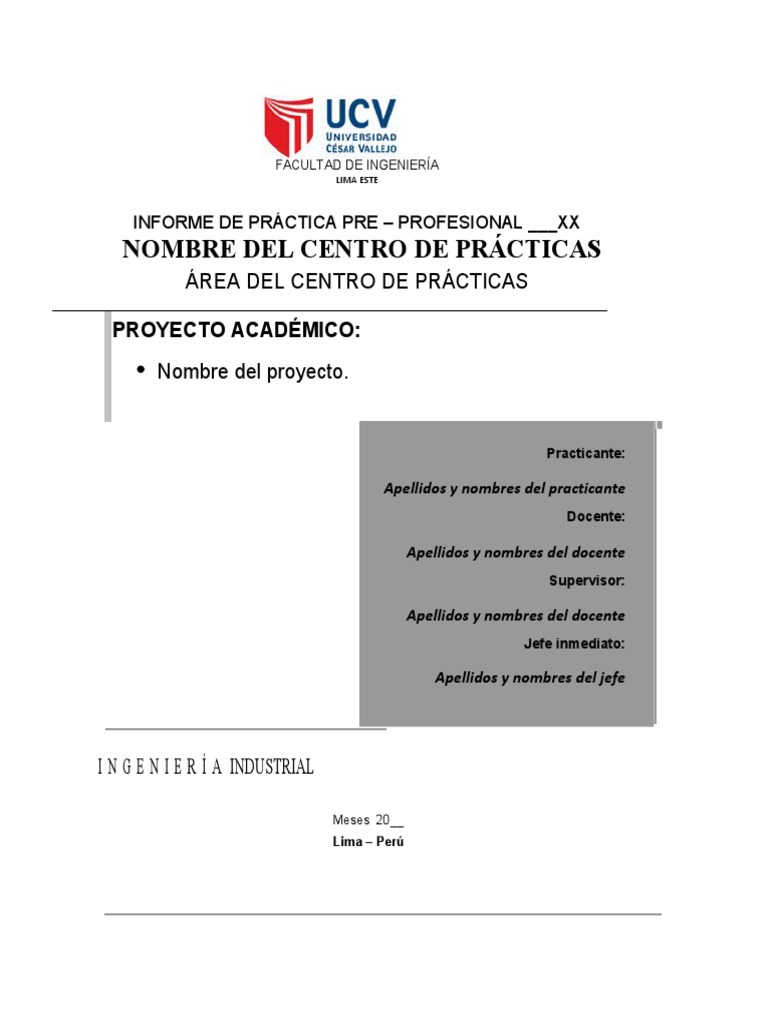 Informe de Práctica Profesional en Ingeniería | PDF