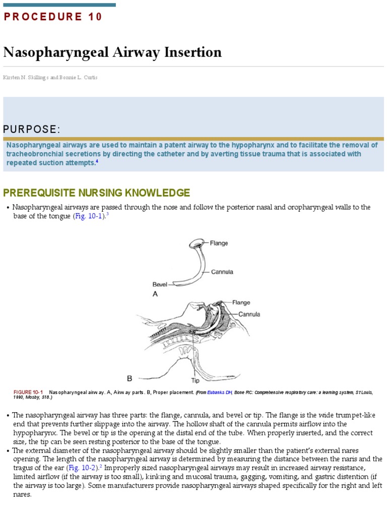 Nasopharyngeal Airway Insertion | PDF | Respiratory Tract | Clinical ...