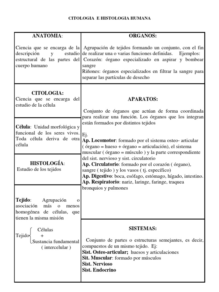 Citología y Estructura Celular Humana | PDF | Citoplasma | Biología ...