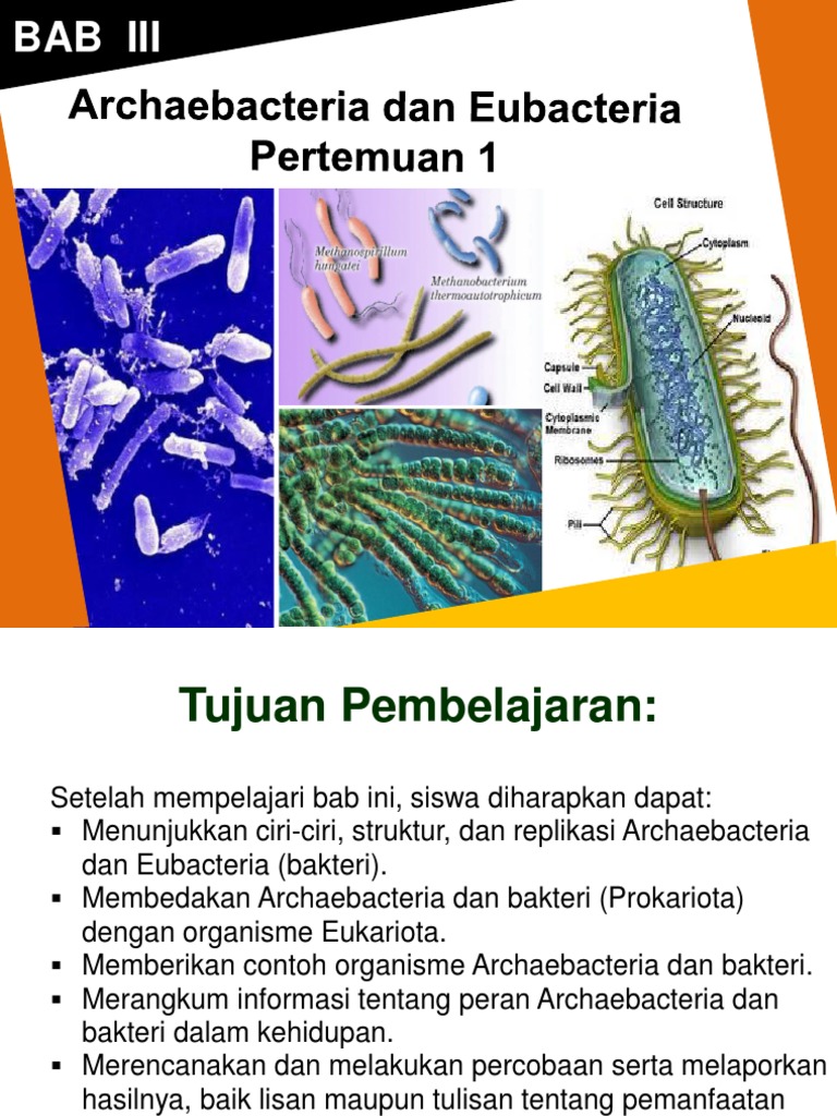 Bab 3 Archaebacteria Dan Eubacteria | PDF