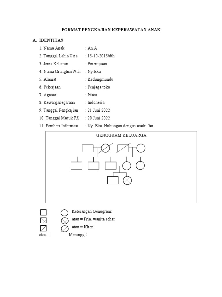 Format Pengkajian Anak | PDF
