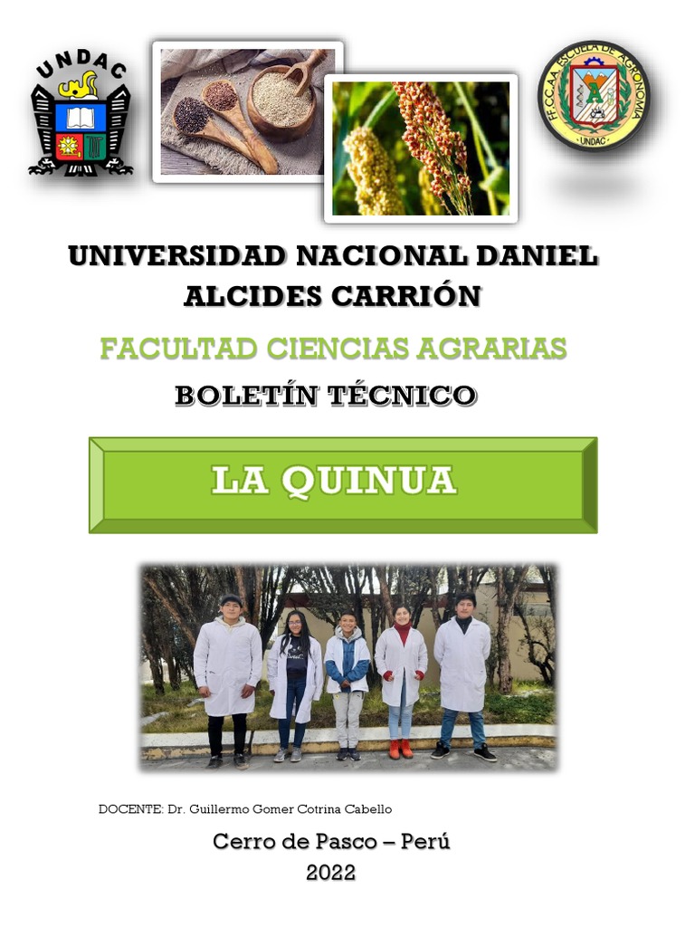 1 La Quinua | PDF | Quinua | Cereales