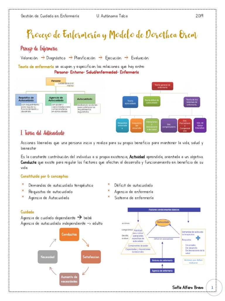 Proceso de Enfermería y Modelo de Dorothea Orem | PDF | Digestión ...