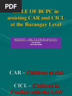 LCPC Functionality Assessment | PDF | Children's Rights | Policy