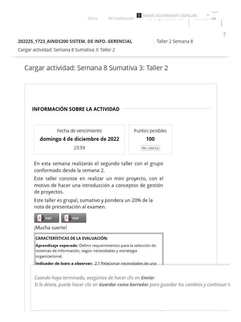 Cargar Actividad - Semana 8 Sumativa 3 - Taller 2 - 202225.. | PDF | Software | Informática