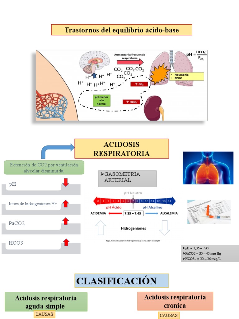 Acidosis | PDF