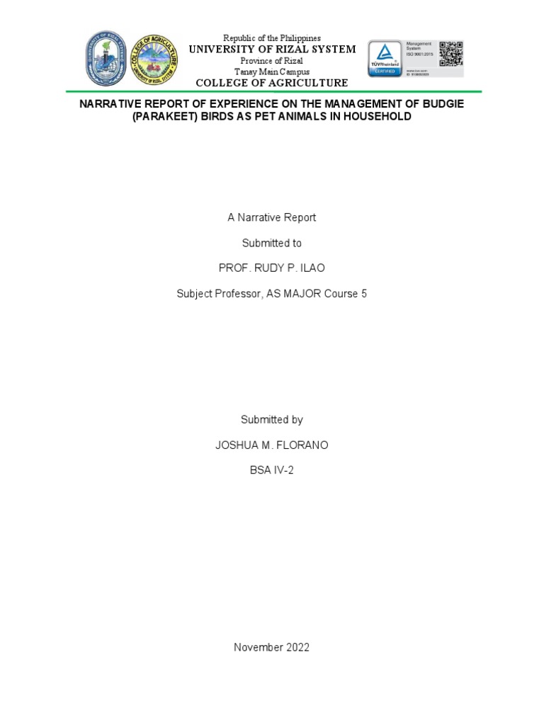 Managing Pet Budgie Birds | PDF | Birds