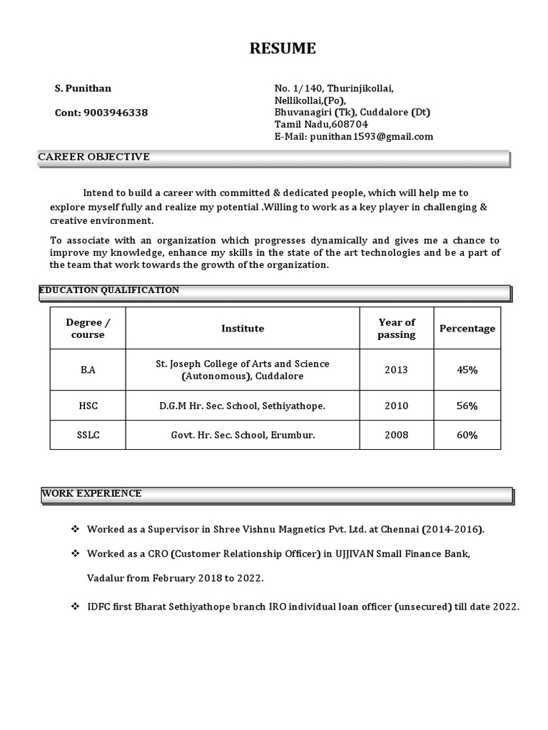 Punithan Resume | PDF