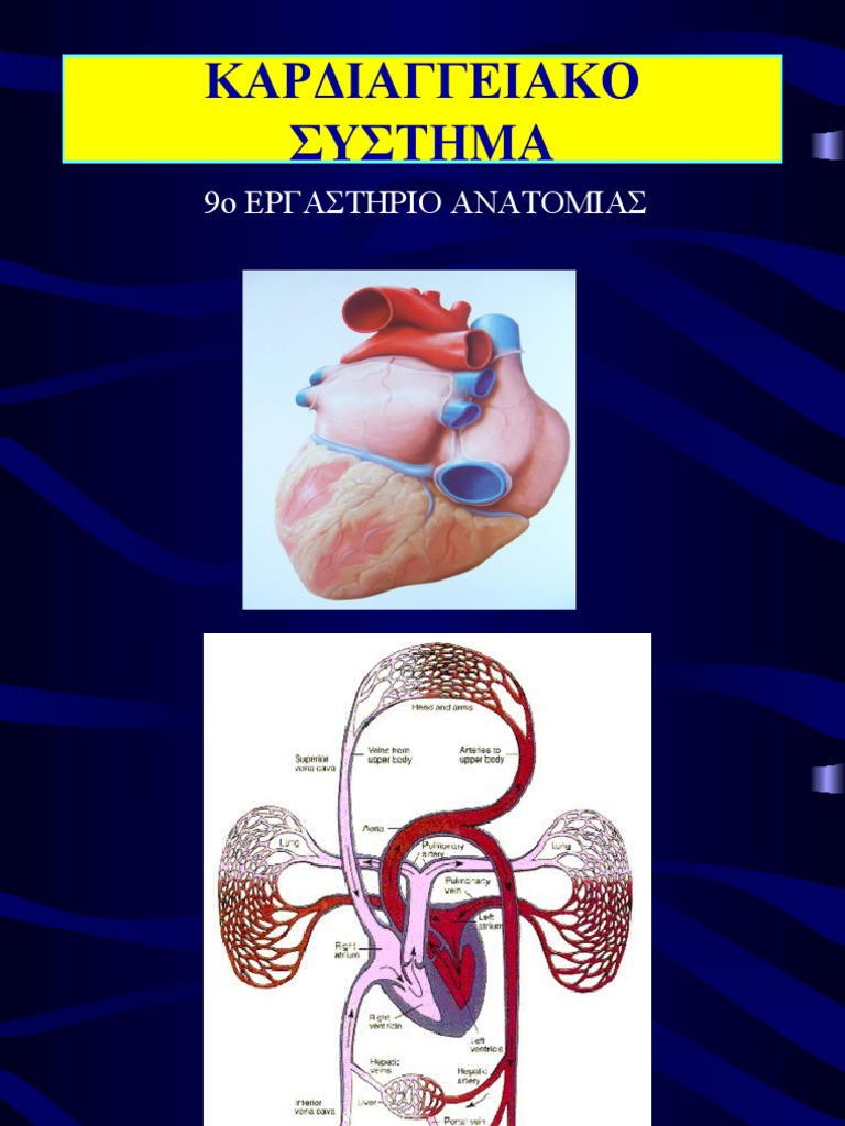 4.2. ΘΩΡΑΚΑΣ ΚΑΡΔΙΑΓΓΕΙΑΚΟ | PDF
