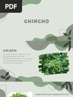 Sacha Culantro | PDF | Hierbas y especias | Alimentos