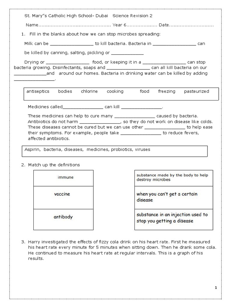 Science Revision 2 For Year 6 | PDF | Thorax | Bacteria