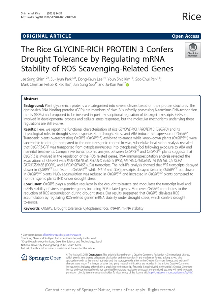 The Rice Glycine-Rich Protein 3 Confers Drought To | PDF | Gene ...