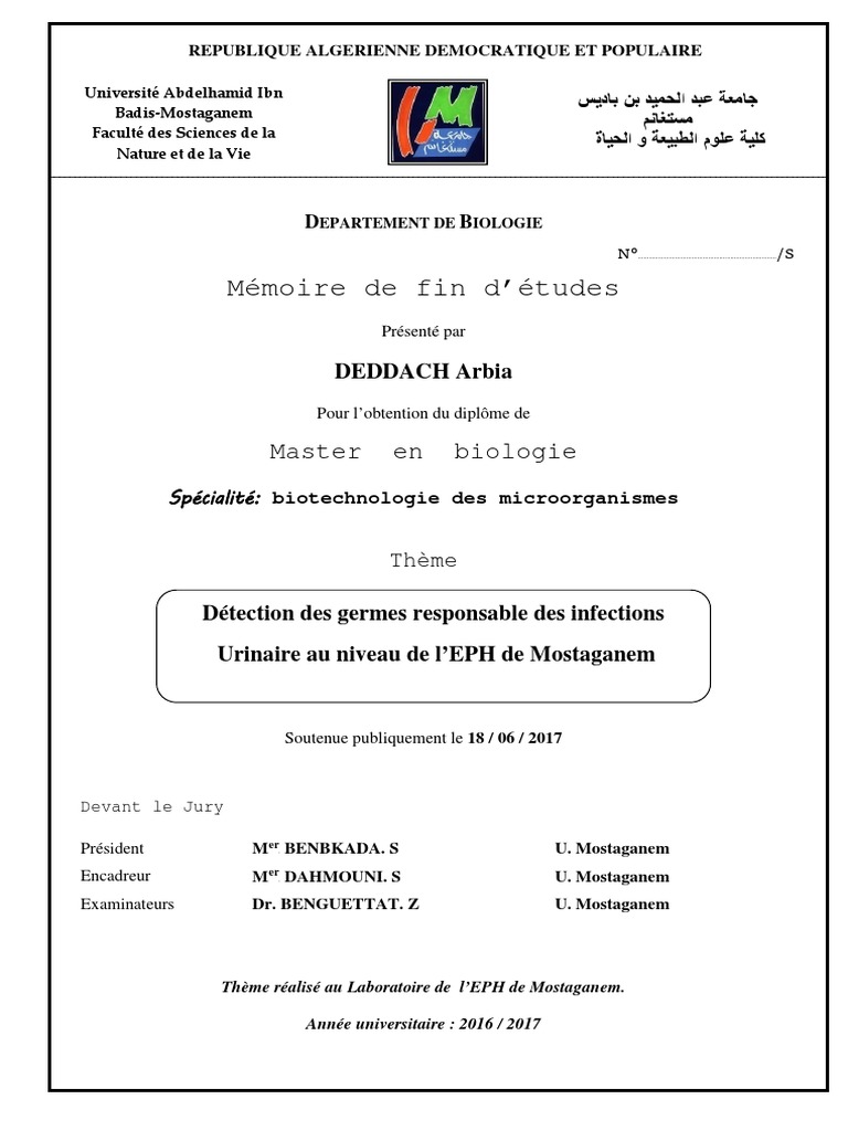 Mémoire Final | PDF | Rein | Antigène
