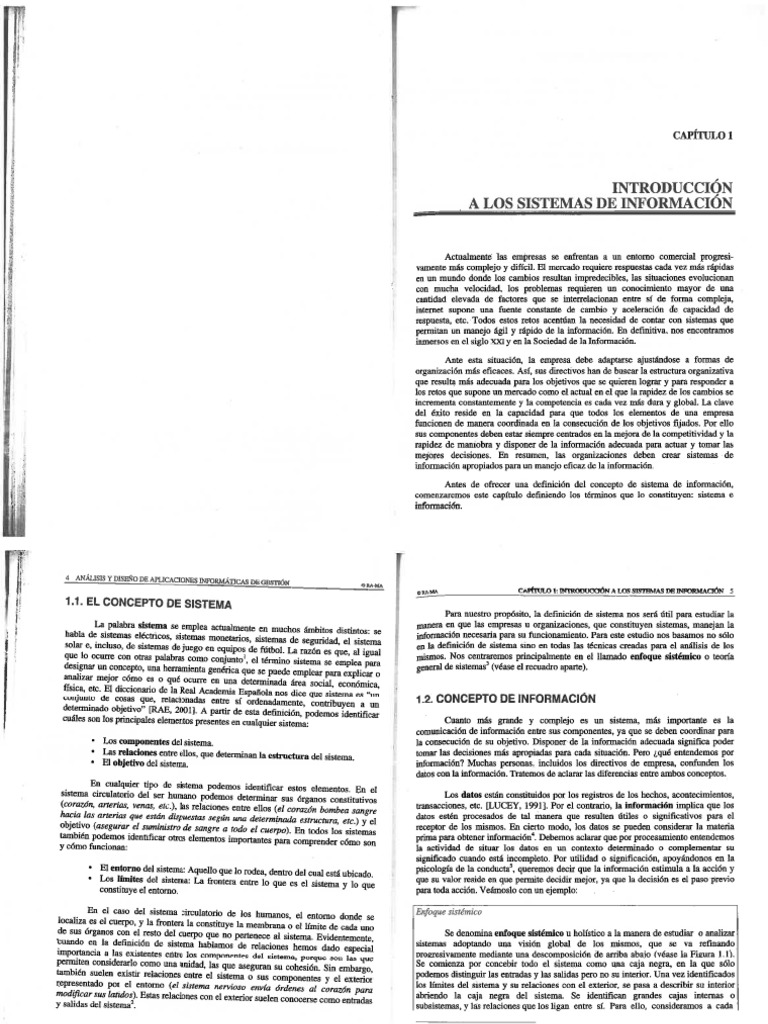 Piattini Cap1y2 | PDF | Información | Sistema