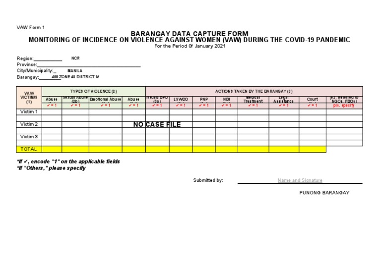 VAW Barangay Data Capture Form | PDF | Hazards | Problem Behavior