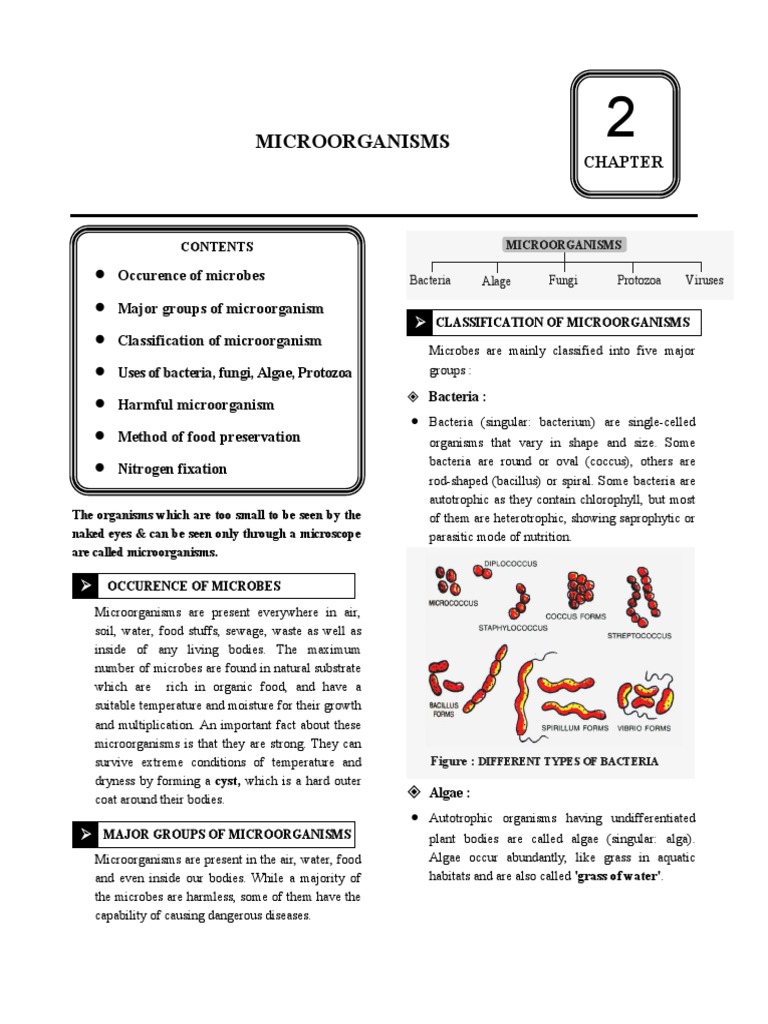 Micro | PDF | Microorganism | Food Preservation