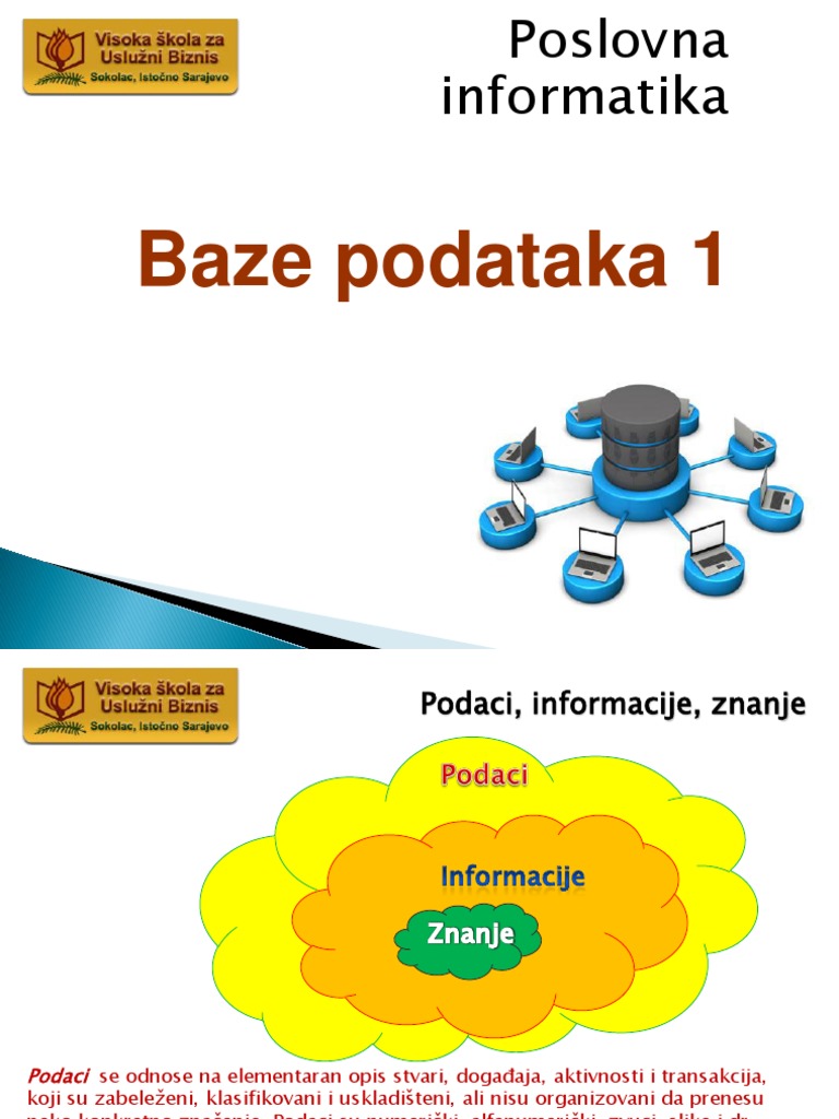Poslovna Informatika. Baze Podataka 1 | PDF