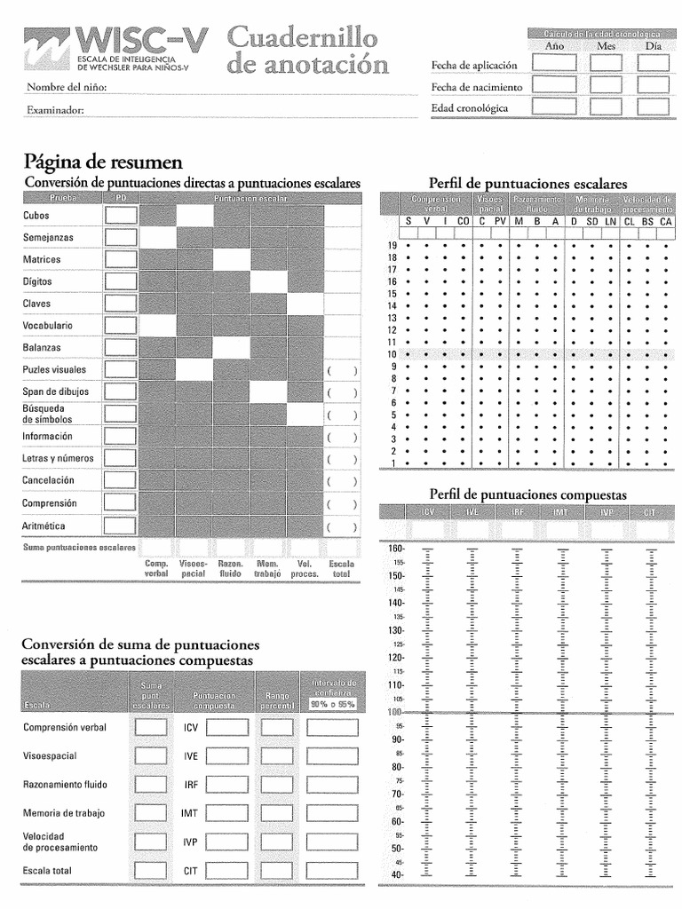 Cuaderno de Anotación WISC-5 | PDF