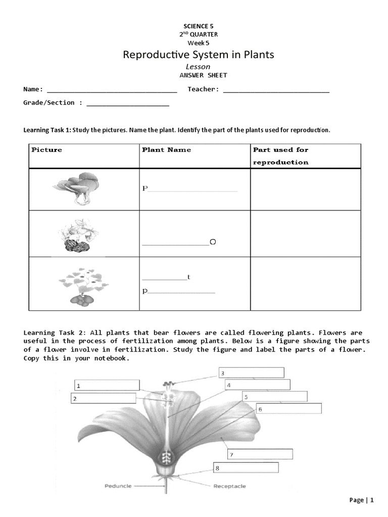 SCIENCE 5 WEEK 5 (2nd Quarter by Sir Ray Marasigan) | PDF