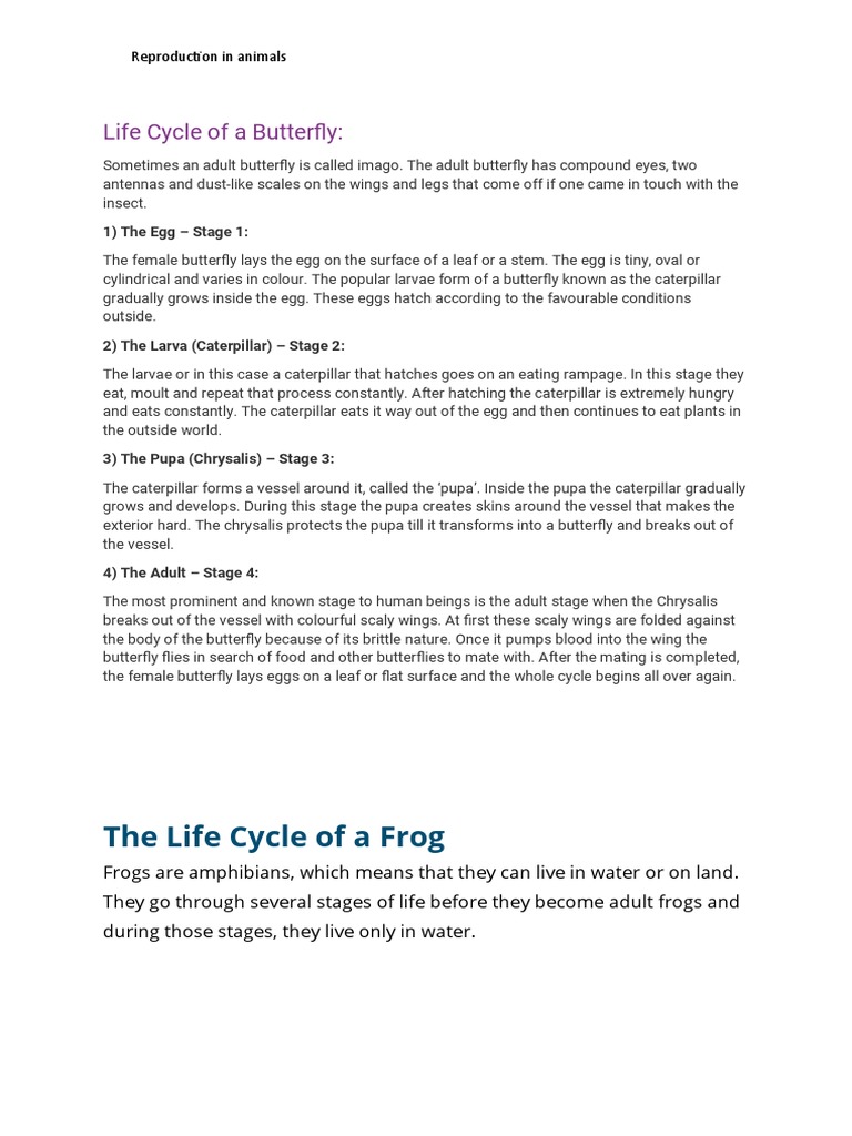 Animal Reproduction: Butterfly and Frog Life Cycles | PDF | Butterfly ...