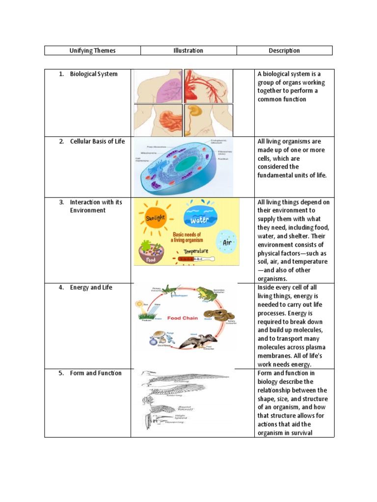 Unifying Themes in Biology: Exploring the Fundamental Concepts that ...