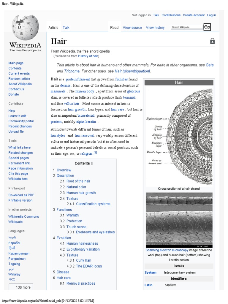Hair Wikipedia | PDF | Hair | Integumentary System