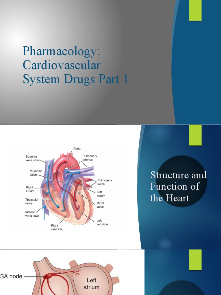 Pharmacology Cardiovascular Drugs | PDF | Heart | Cardiology