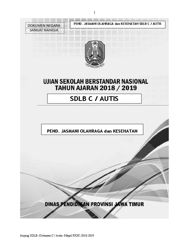 Soal Pjok SDLB | PDF